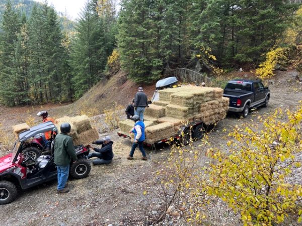 Sheep Hay Lift 2021 – Nelson District Rod Gun Club and Conservation Society